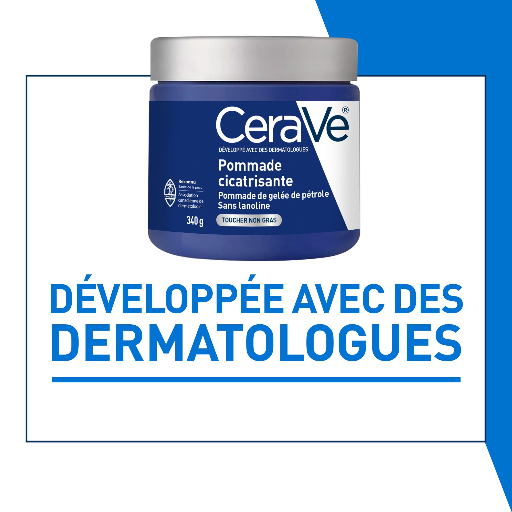 Pommade Cicatrisante Hydratante avec 3 Céramides - CeraVe CA